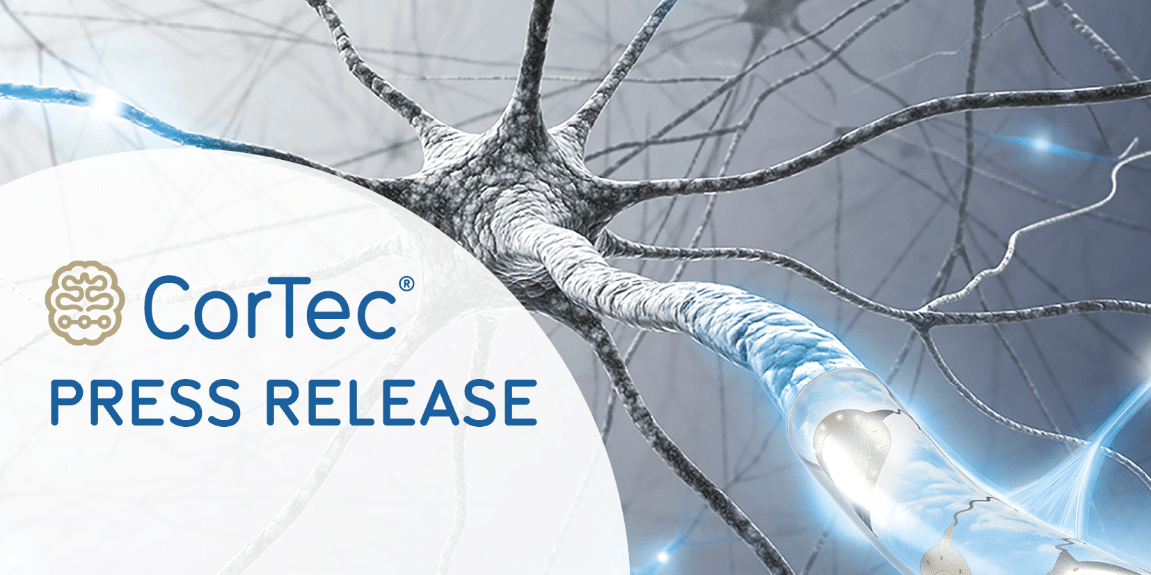 Next Important Milestone Reached for First-in-Human Implantation of the ...